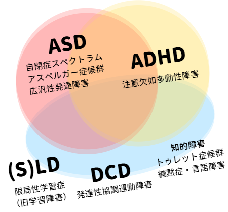 3つの重ね絵で”大人の発達障害”を説明してみました – 株式会社Kaien – 強みを活かした就労移行支援・自立訓練（生活訓練）